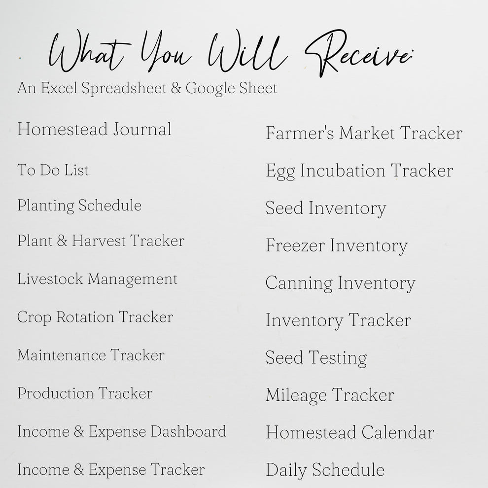 Homestead Planner Template Google Sheet and Excel Spreadsheet – Savvy ...