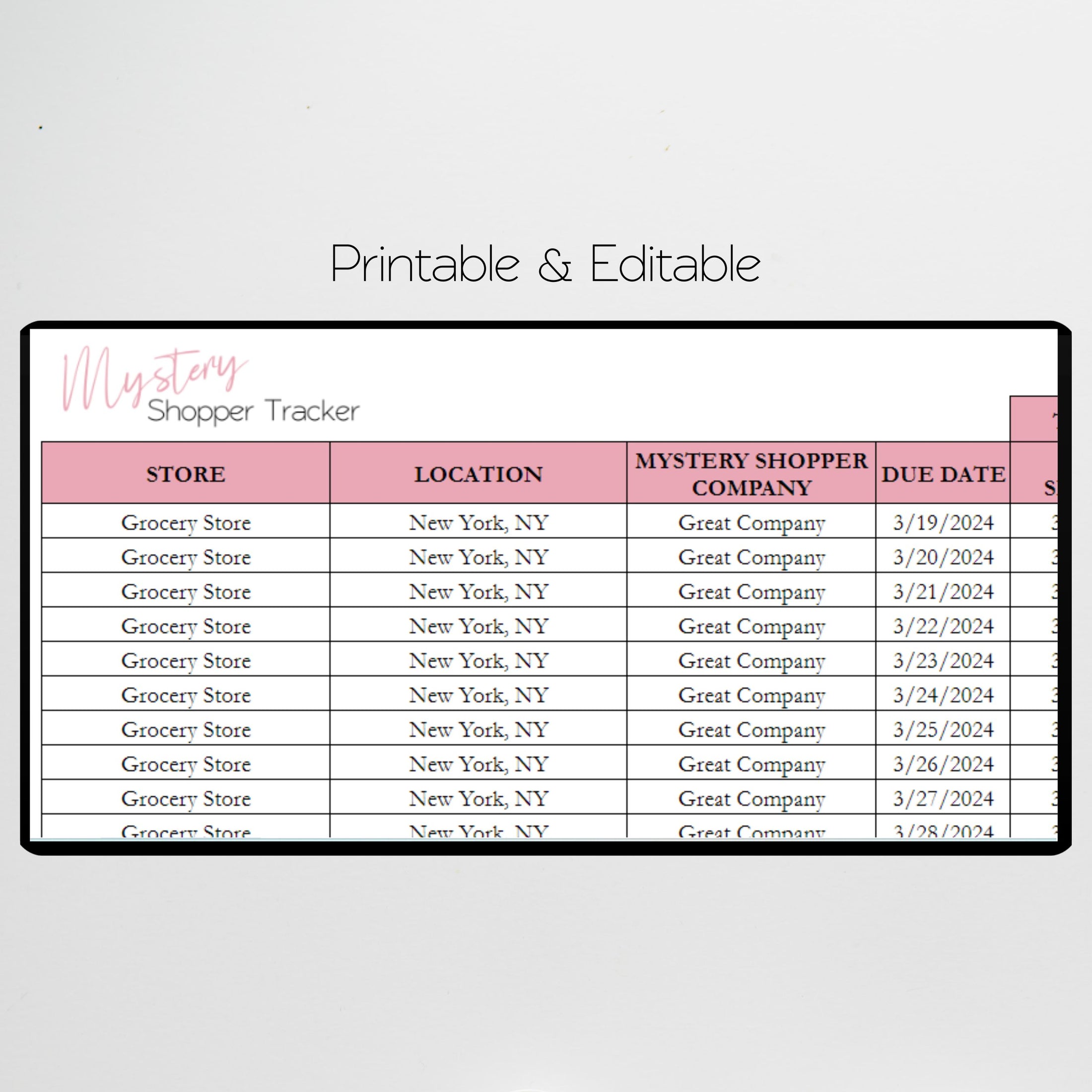 Mystery Shopper Tracker Google Sheet and Excel Spreadsheet – Savvy and ...