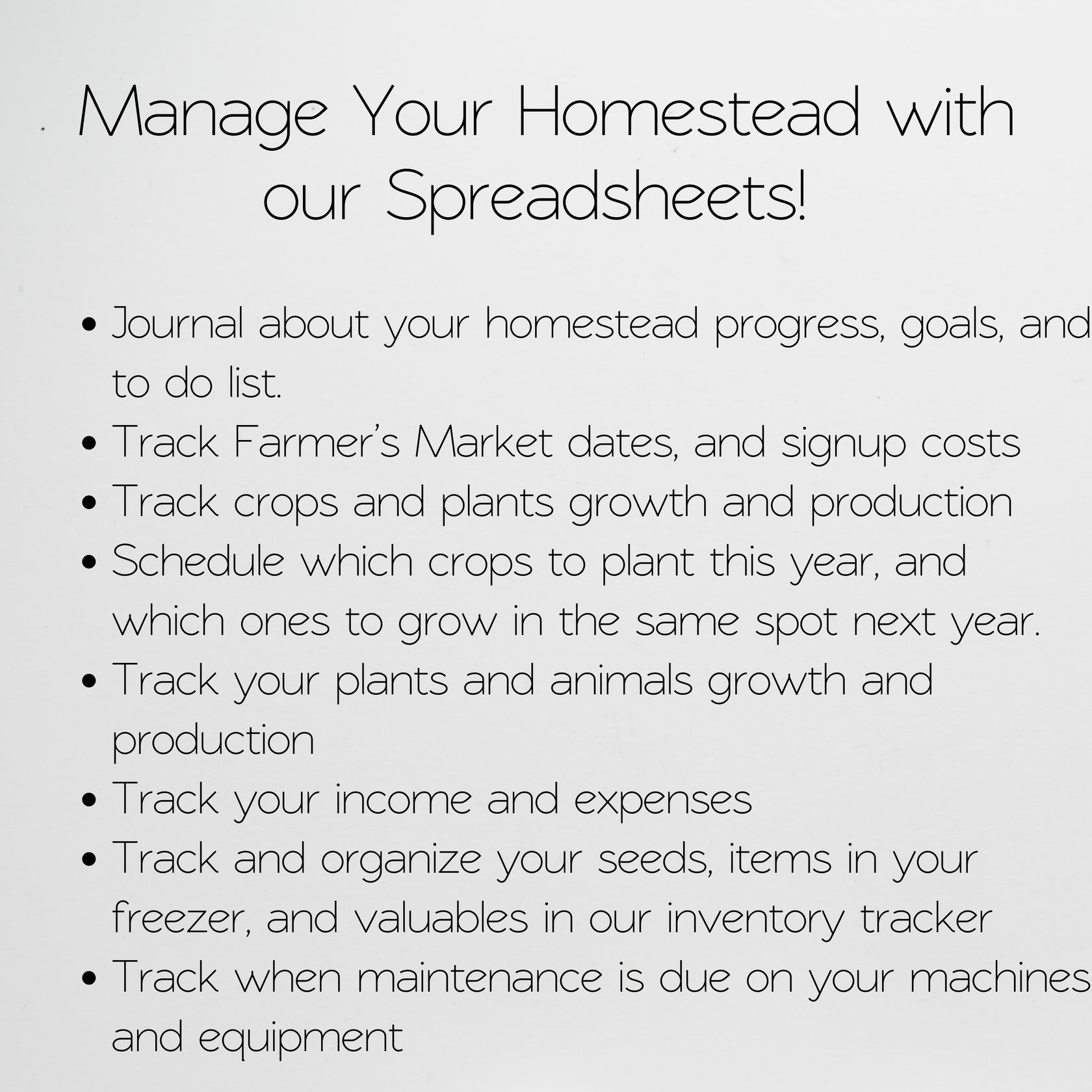 Homestead Planner Template Google Sheet and Excel Spreadsheet – Savvy ...