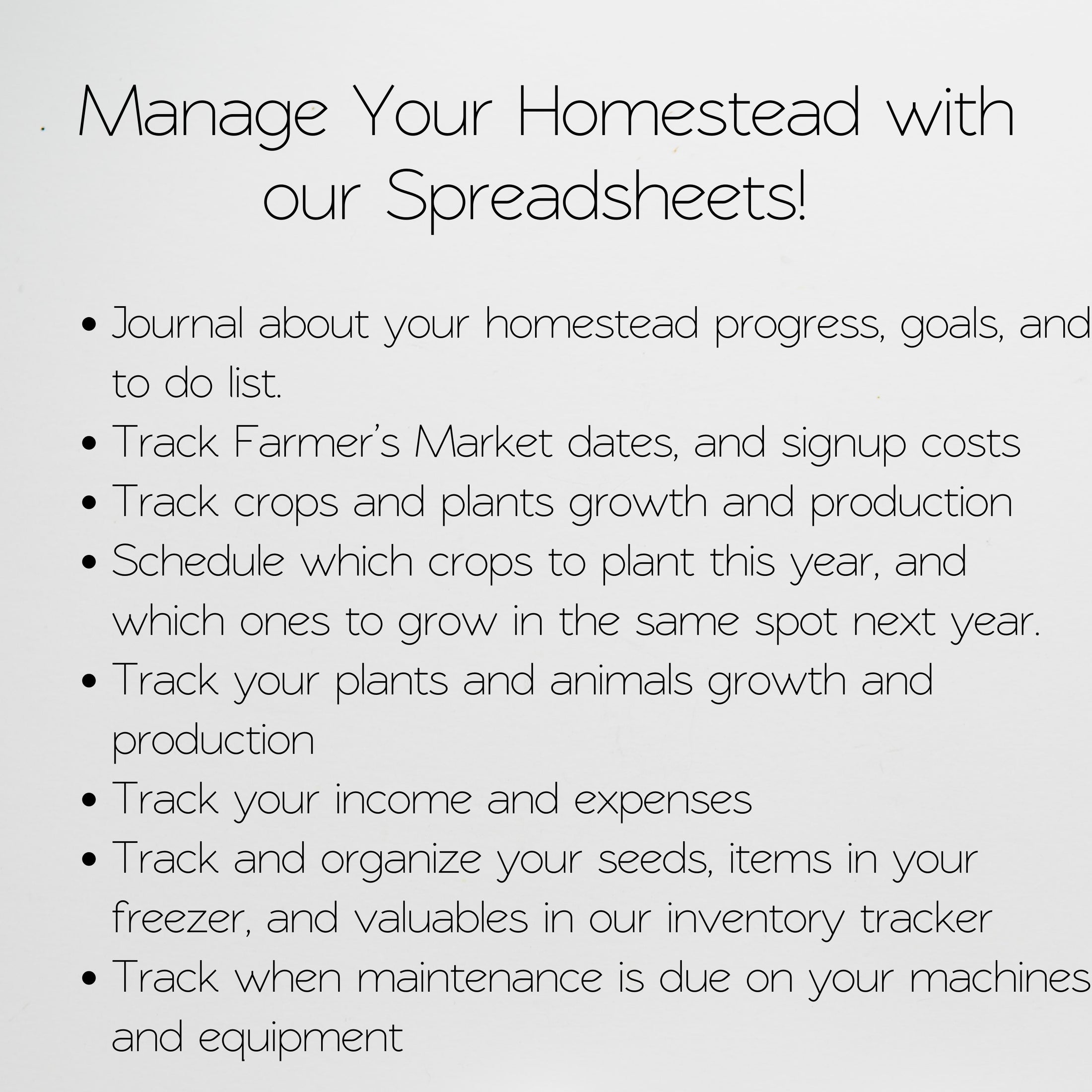 Homestead Planner Template Google Sheet and Excel Spreadsheet – Savvy ...