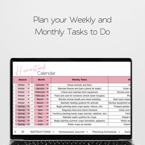 Homestead Planner Template Google Sheet and Excel Spreadsheet – Savvy ...