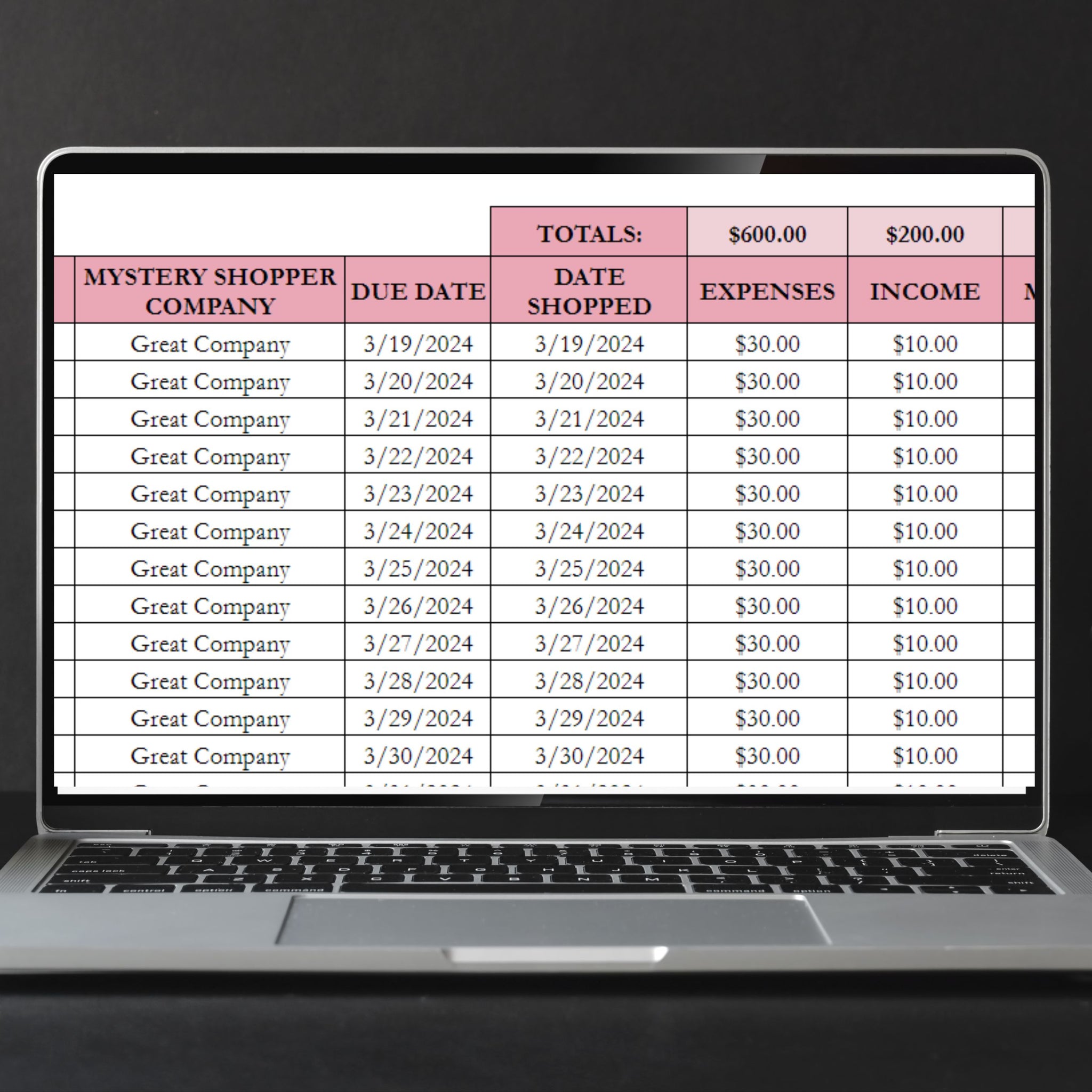Mystery Shopper Tracker Google Sheet and Excel Spreadsheet – Savvy and ...