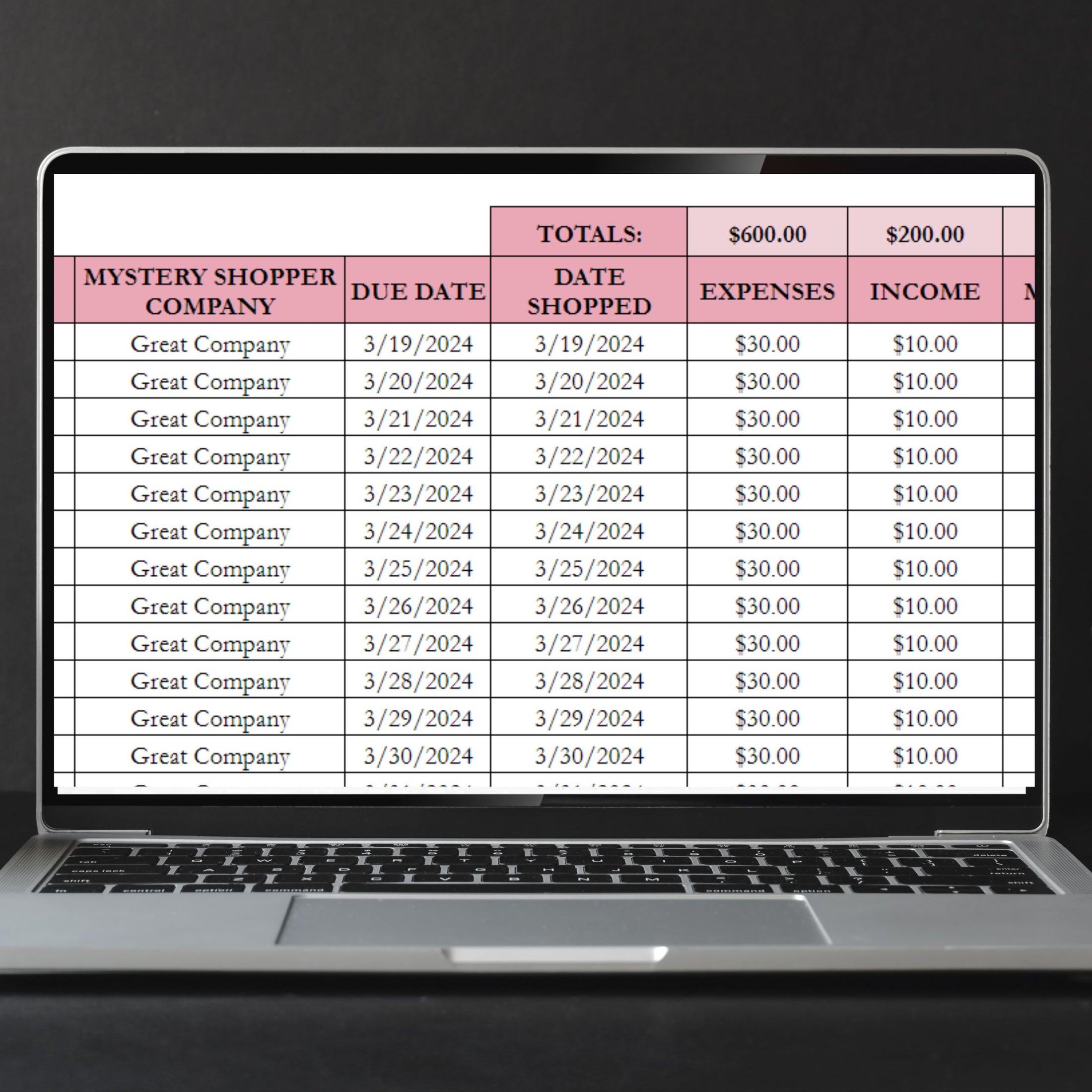 Mystery Shopper Tracker Google Sheet and Excel Spreadsheet – Savvy and ...