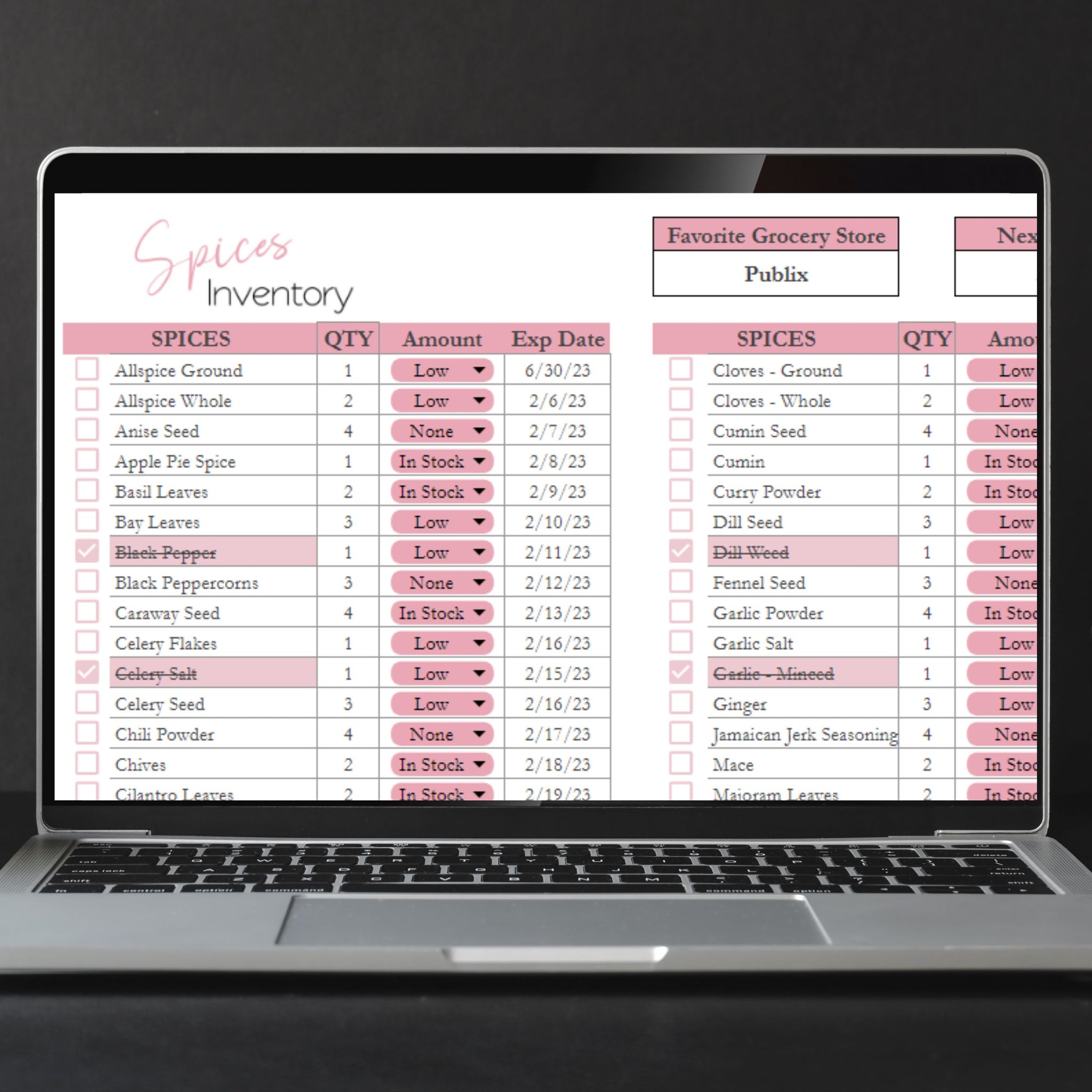 Spices Inventory Google Sheet and Excel Spreadsheet – Savvy and Thriving