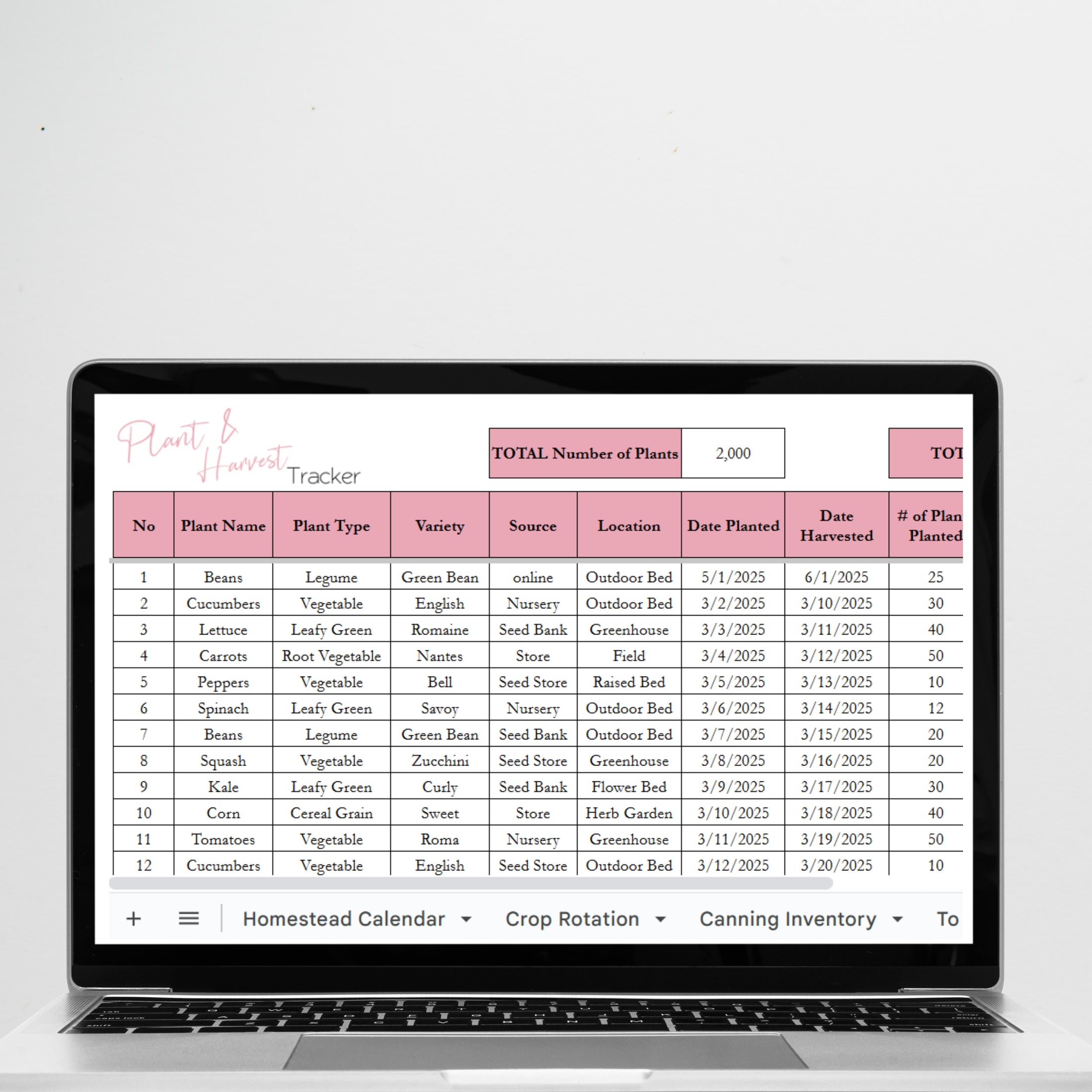 Homestead Planner Template Google Sheet and Excel Spreadsheet – Savvy ...